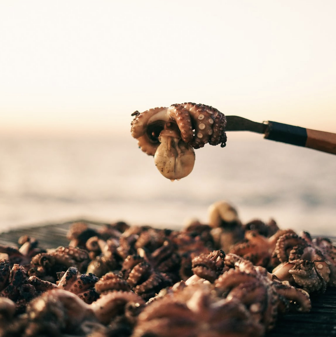 Puglia che vai, sagra che trovi: prodotti tipici in festa per l'estate