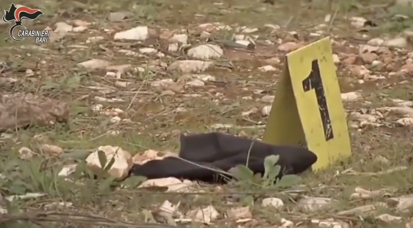 Una nuova piattaforma per servizi online, è 'Autorizzo.com'