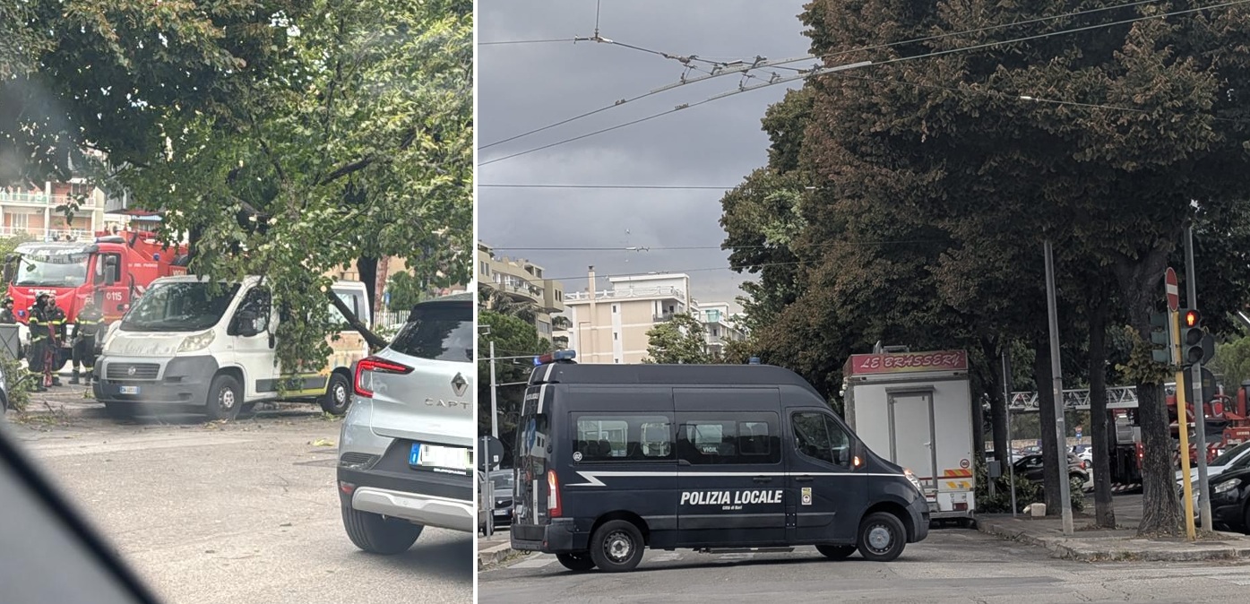 Bari, il nuovo terminal bus di via Capruzzi in funzione a settembre