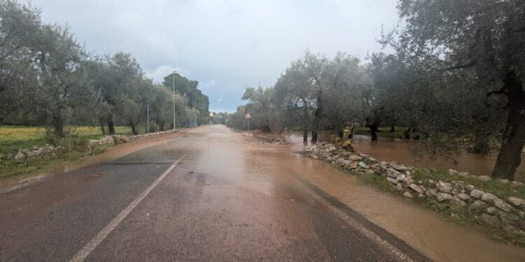 Maltempo, esonda torrente Tiflis in Lama Balice: chiusa provinciale